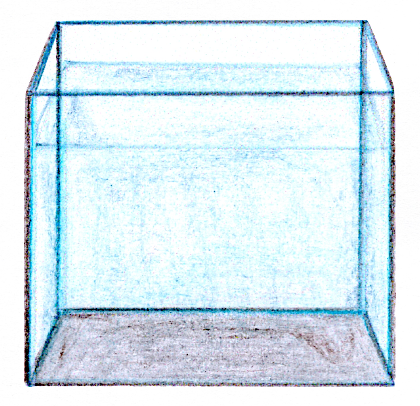 【30cmキューブ水槽】水量や重さ・熱帯魚の数について詳しく解説！～エビや魚は何匹入れるべきか～ | アクアぷらす